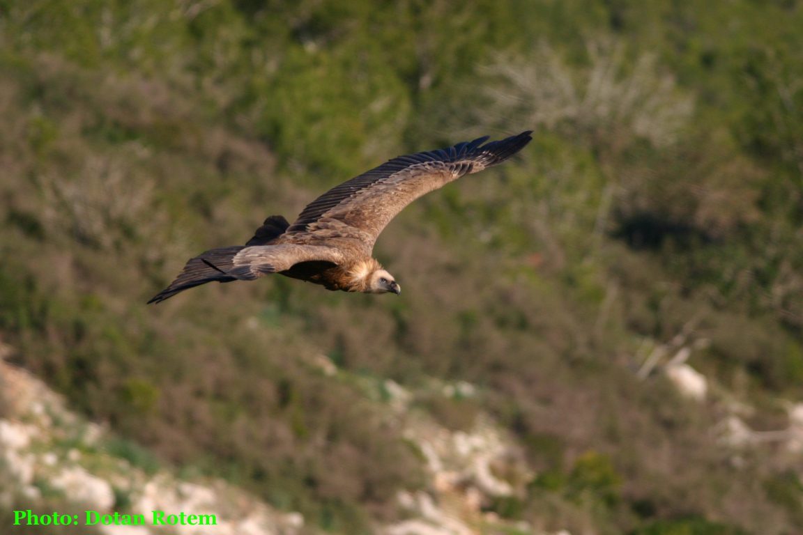 חוקים ותקנות - רשות הטבע והגנים